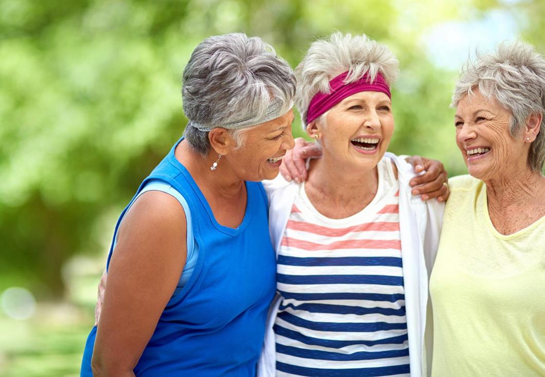 | Valley Program for Aging Services